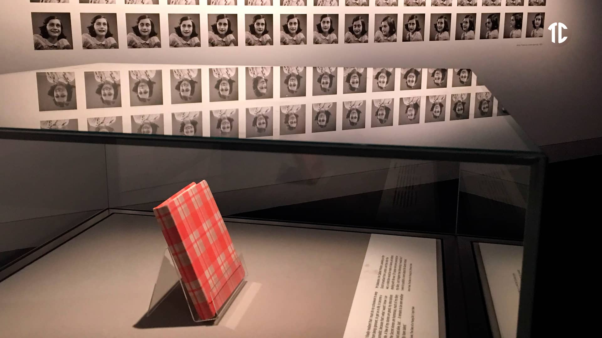 ¿Por qué el Diario de Ana Frank sigue Siendo Importante? » TC